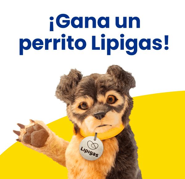Bases legales – Concurso gana un perrito Lipigas | Lipigas