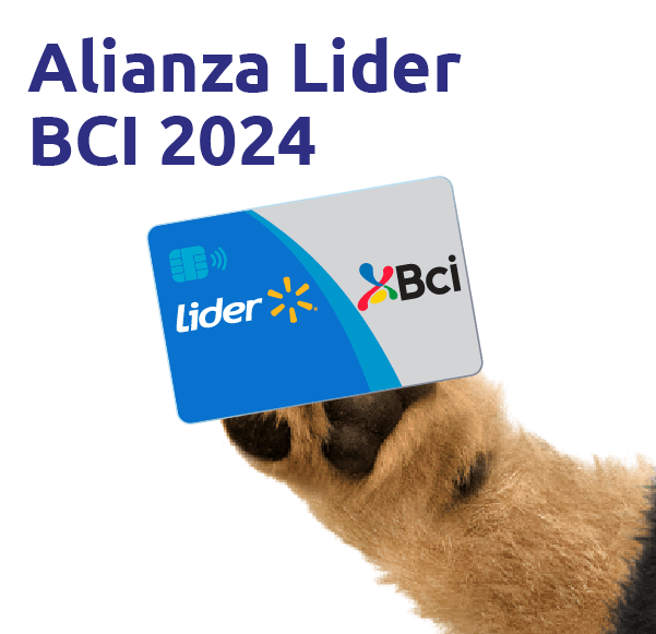 Bases legales – Lider Bci 2024 | Lipigas